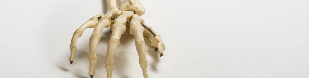 Dorn-Therapie - Dorn-Methode, eine Wirbel(säulen)- und Gelenk-Therapie